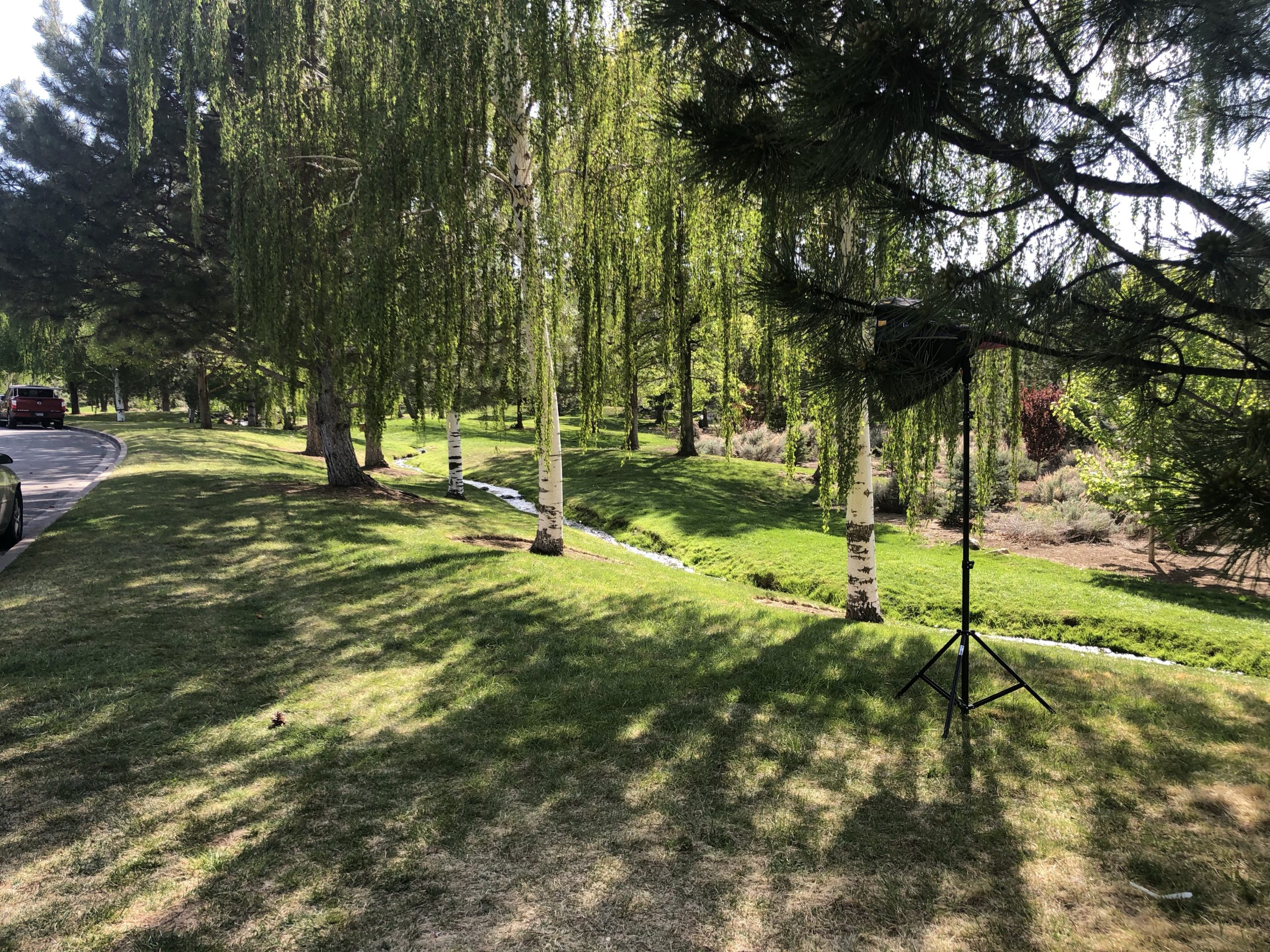 Sierra Elegance Photography- Reno, Nevada | Class of 2020 Free Prom Photos - Sierra Elegance ...